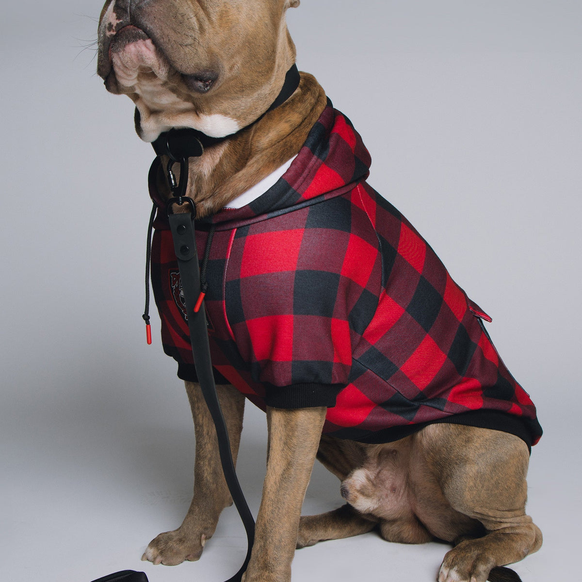 Dog Hoodie - Redrum | Dixxon Flannel Co.